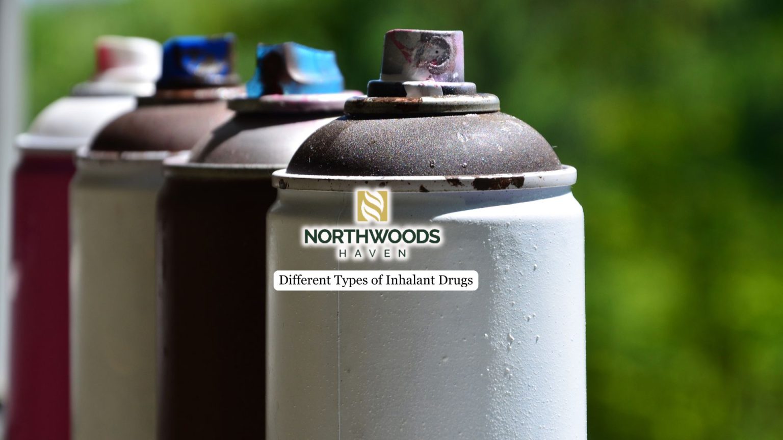 Different Types of Inhalant Drugs - Northwoods Haven