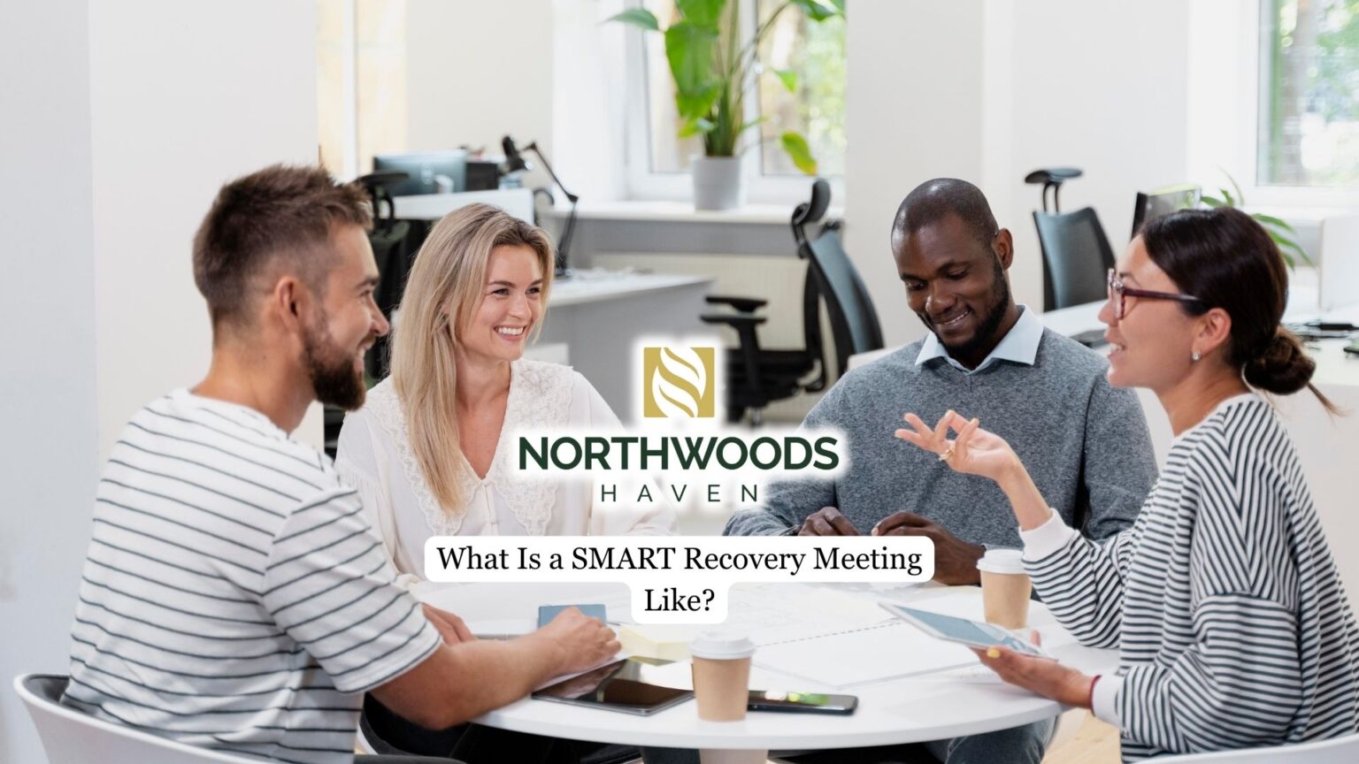 What Is a SMART Recovery Meeting Like? - Northwoods Haven